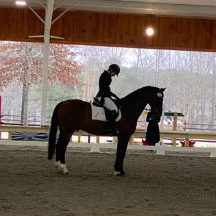 NCDCTA recognized Dressage show