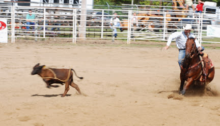 Benson Chamber Park & Arena