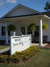 Town of Micro