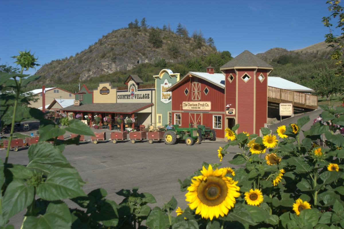 Davison Orchards