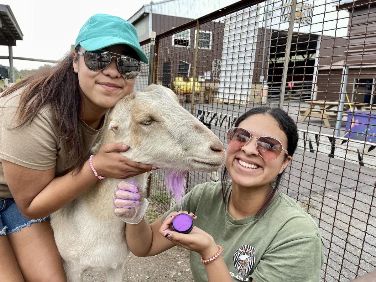 Safari Farm Petting Zoo