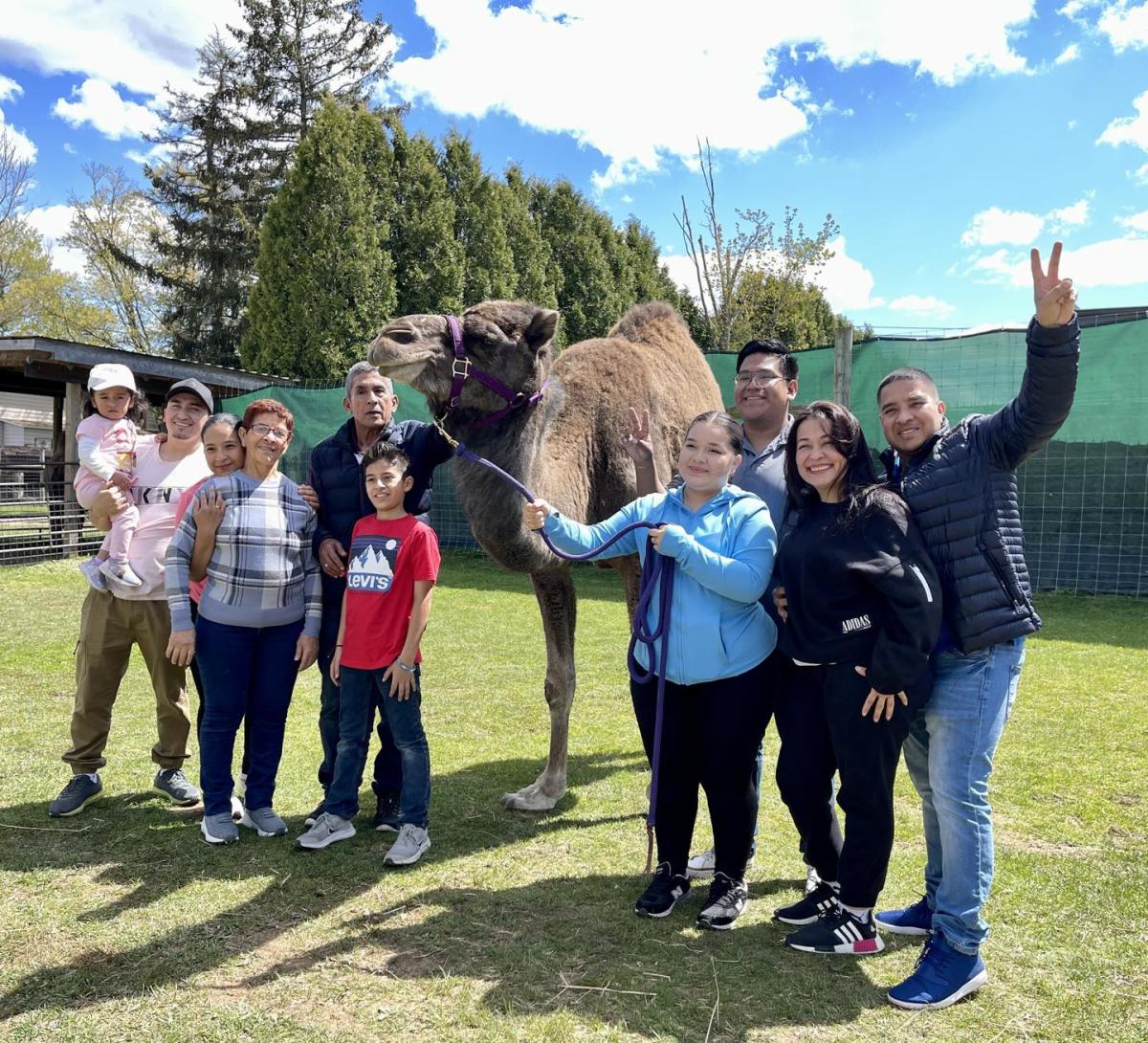 Safari Farm Petting Zoo