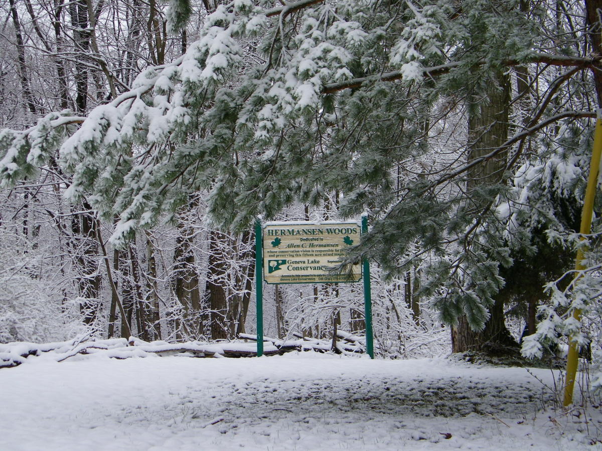 Hermansen Woods