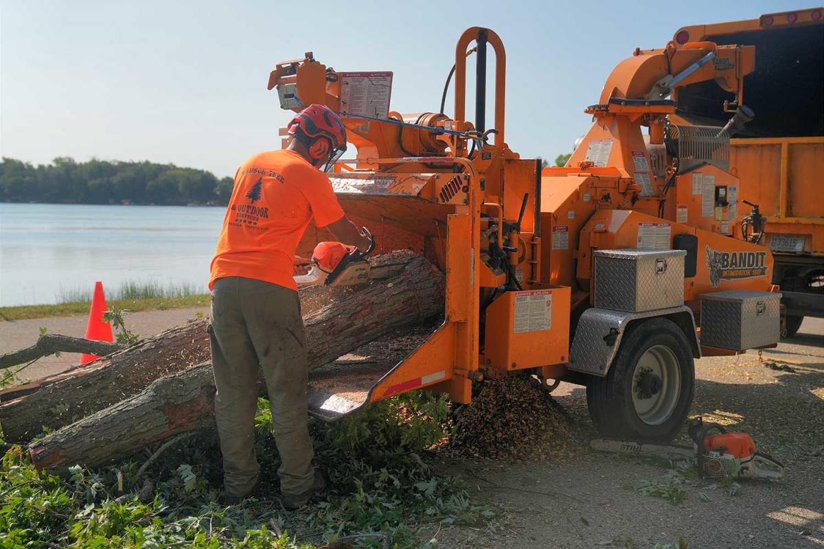 Rausch Tree and Outdoor Services