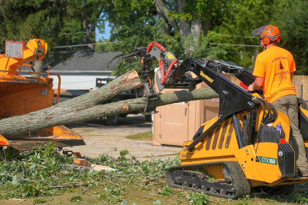 Rausch Tree and Outdoor Services