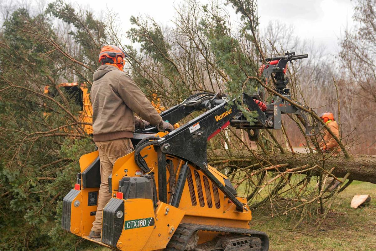 Rausch Tree and Outdoor Services