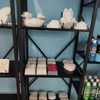 Creative Forces Art Studio