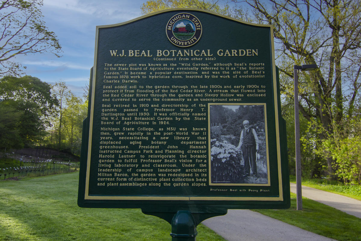 Beal Botanical Gardens | Fasci Garden