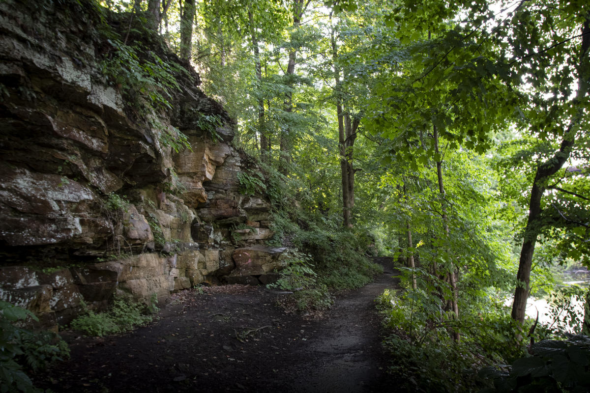 The Ledges in Grand Ledge and Fitzgerald Park