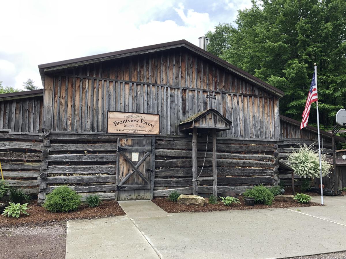 Brantview Farms Maple