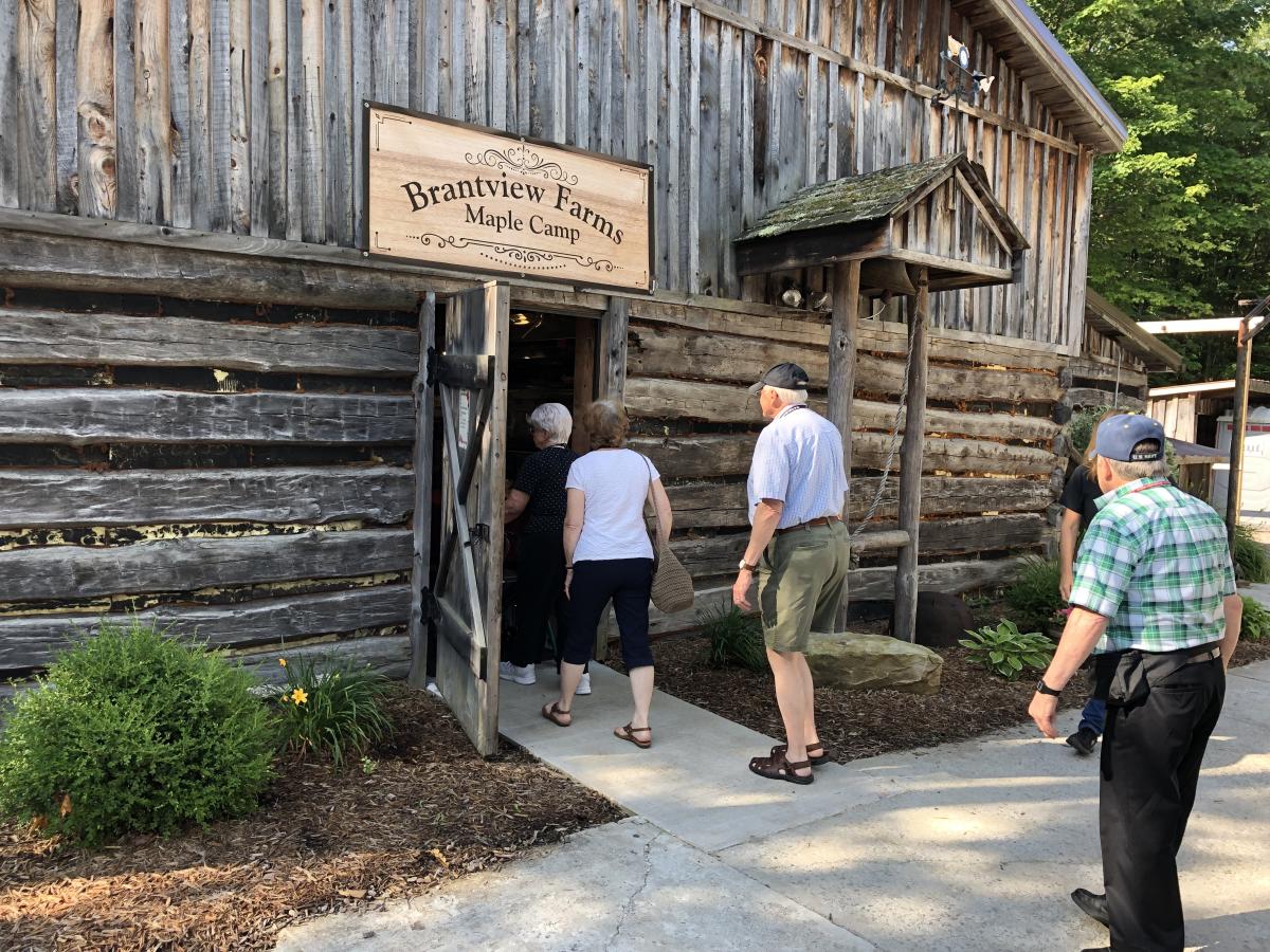 Brantview Farms Maple