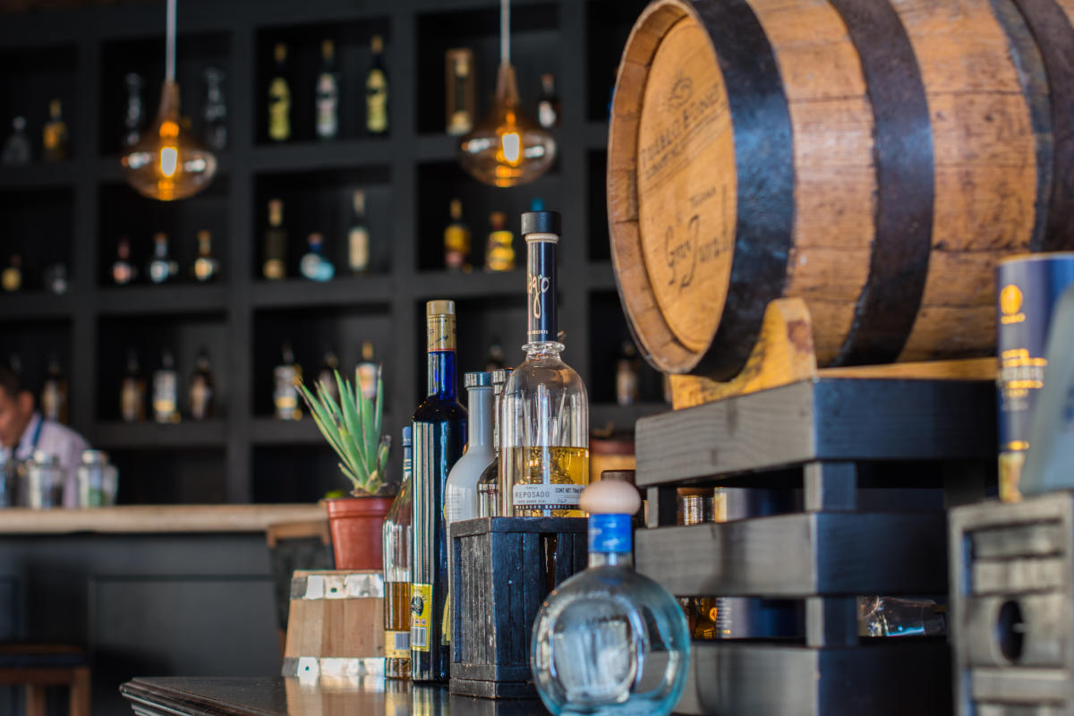 Tequila Tasting Experience