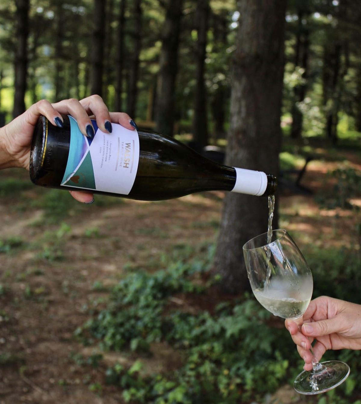 Walsh Family Wine | Purcellville, VA 20132