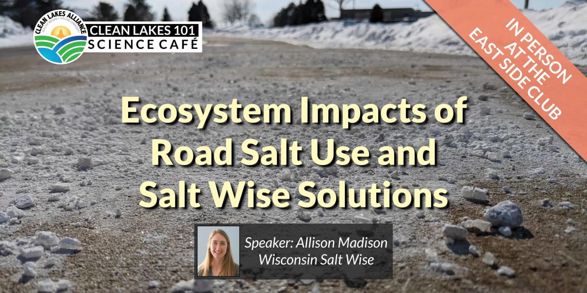 Clean Lakes 101: Ecosystem Impacts of Road Salt Use and Salt Wise ...