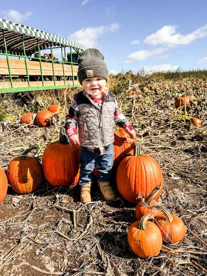Fall Harvest Festival at Schuster's Farm | Deerfield, WI