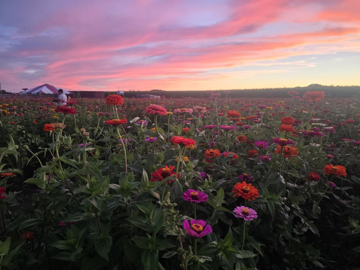 Becca Murray at Blooms on the Farm | Deerfield, WI