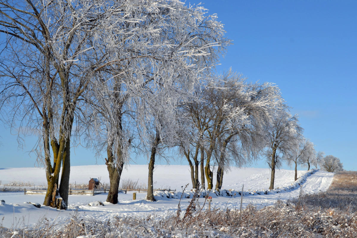 Winter Walk at Pope Farm Conservancy | Middleton, WI