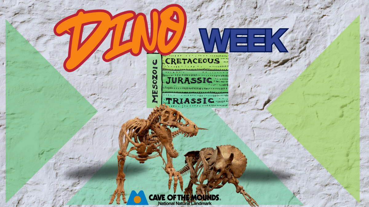 Dino Week | Blue Mounds, WI