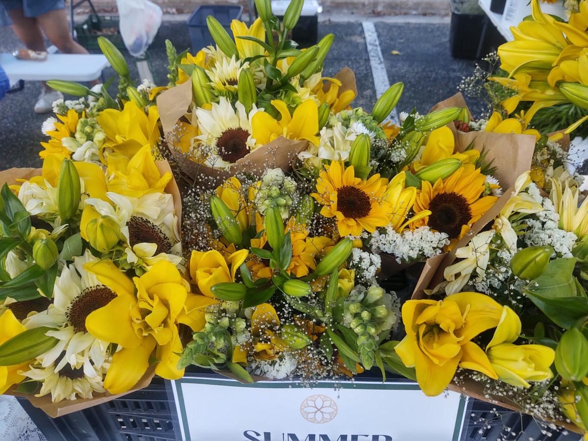 Monroe Street Farmers Market | Madison, WI