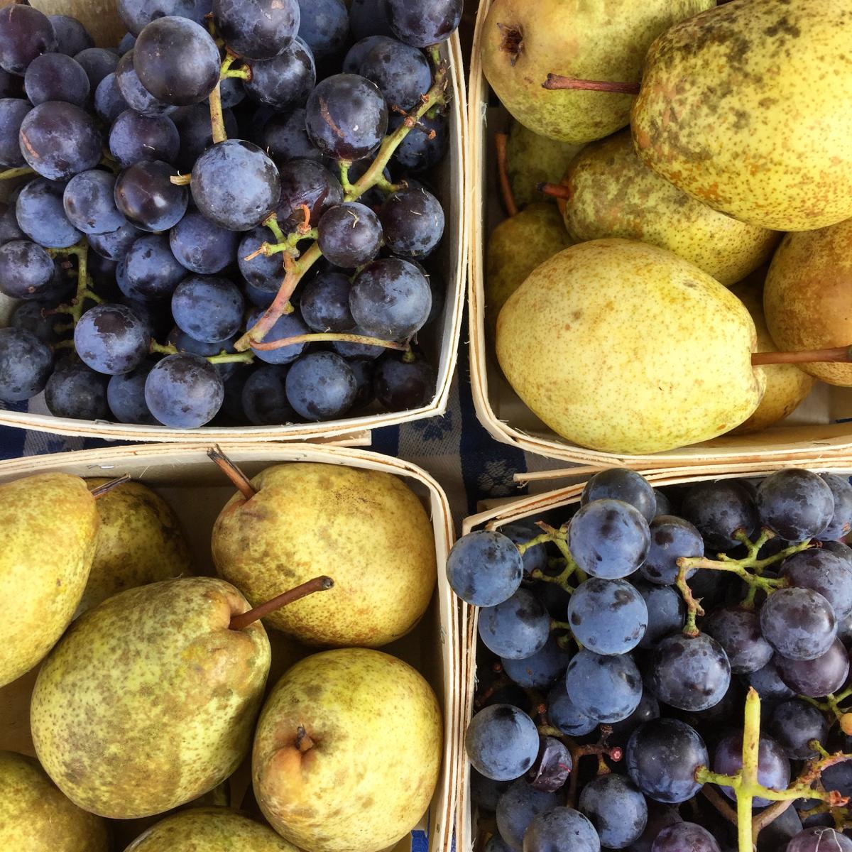Monroe Street Farmers Market | Madison, WI