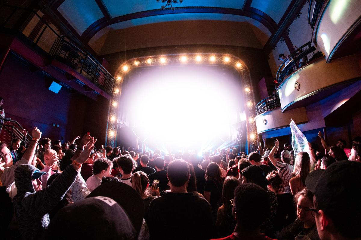 Evolution Of A Snake | Madison, WI