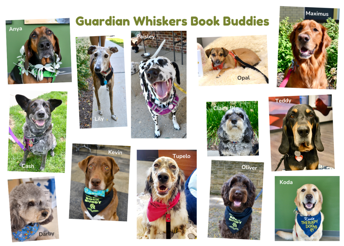 Book Buddies Reading Program | Madison, WI