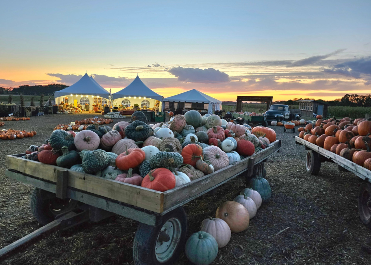 Schuster's Farm | Deerfield, WI