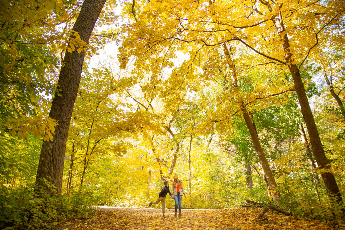 Picnic Point (UW Lakeshore Nature Preserve) | Madison, WI