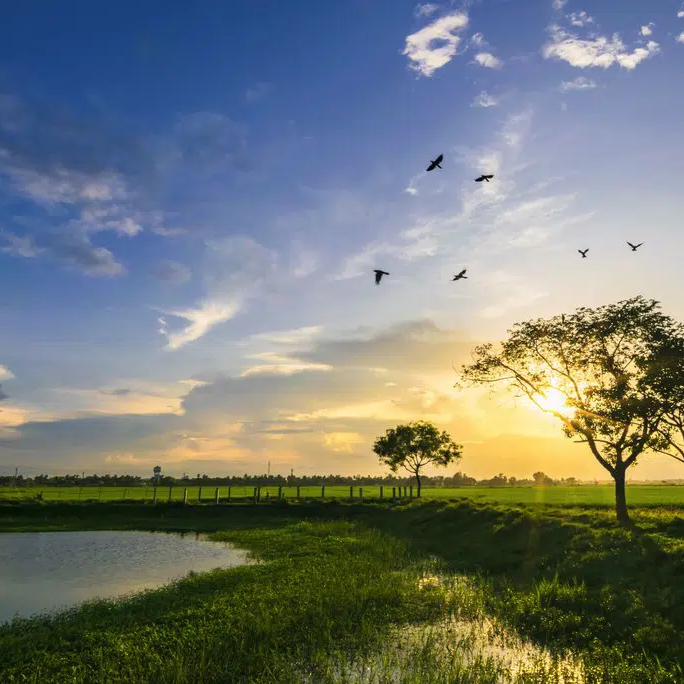 Be-leaf in the Power of Nature TRIVIA NIGHT | Mount Horeb, WI