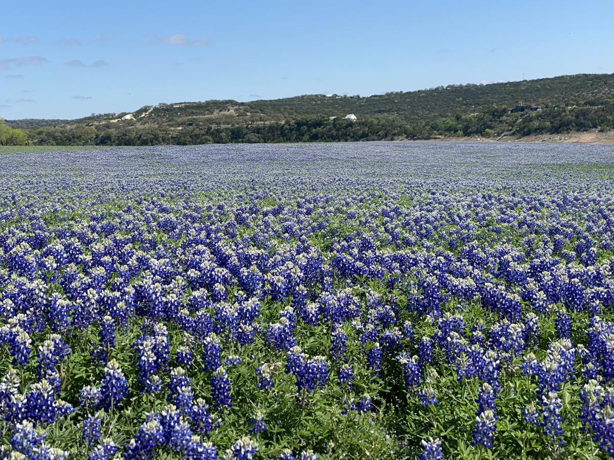 Muleshoe Bend Recreation Area