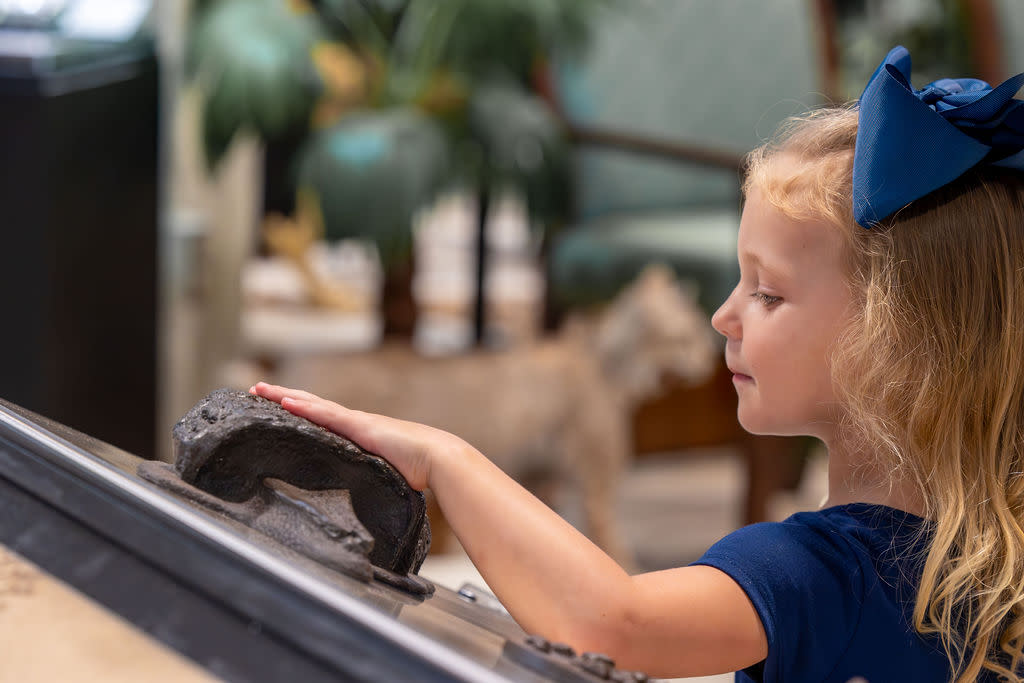 Children's Trolley Tour