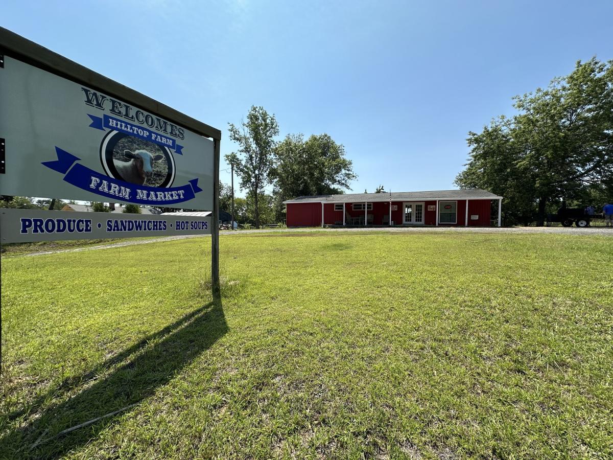 Welcomes' Hilltop Farm