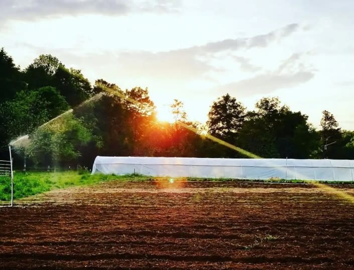 Charming Farm Stay