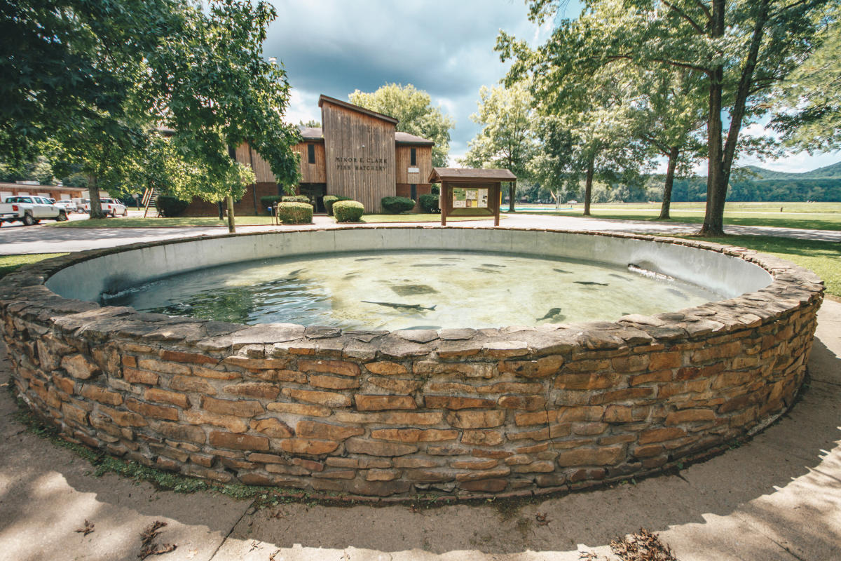 Minor E. Clark Fish Hatchery
