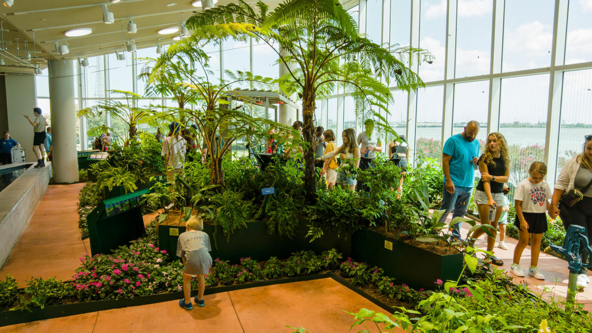 New Orleans Butterfly Garden Where Y'Art Works | "Butterfly Garden" By