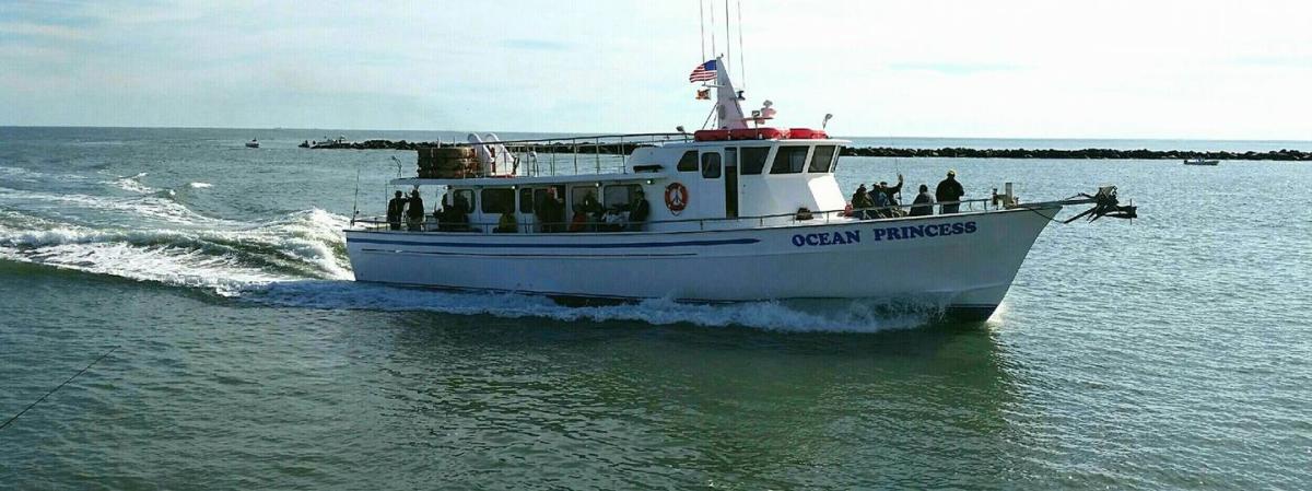 Ocean Princess, Inc.