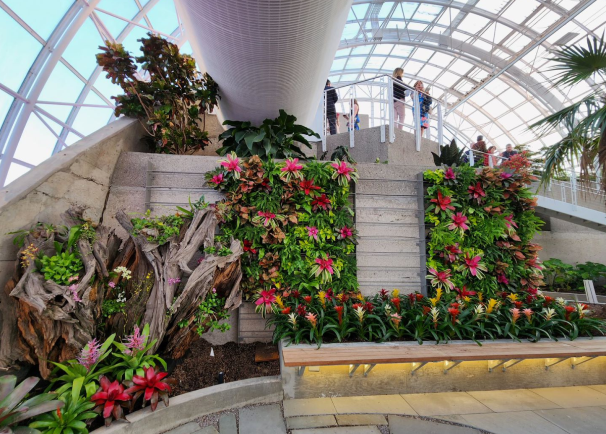 Myriad Botanical Gardens Oklahoma City Ok | Fasci Garden