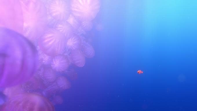 Jellyfish From Nemo
