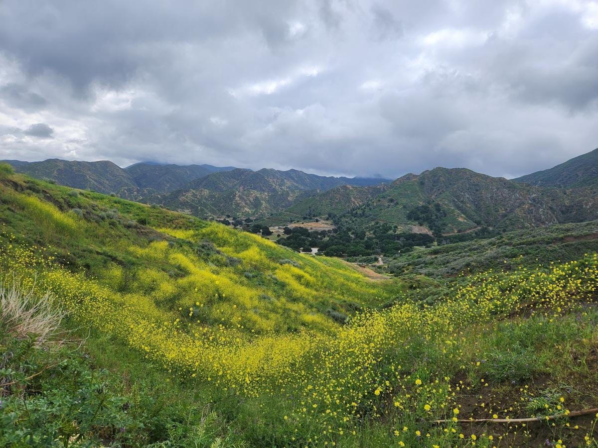 East Walker Ranch Trail