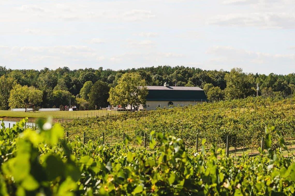 Tunnel Creek Vineyards