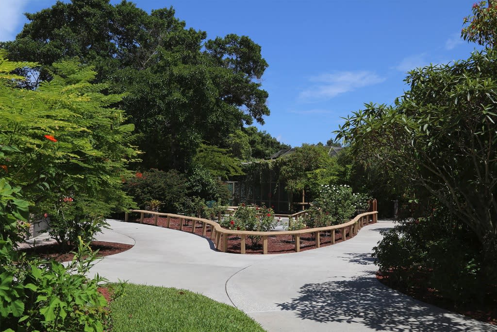 Butterfly World | Coconut Creek, FL