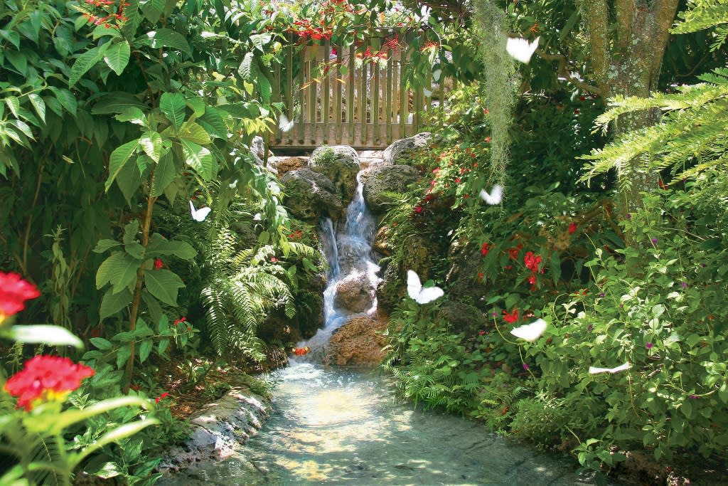 Butterfly World | Coconut Creek, FL