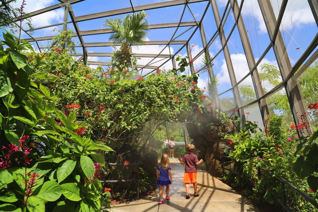 save butterfly world