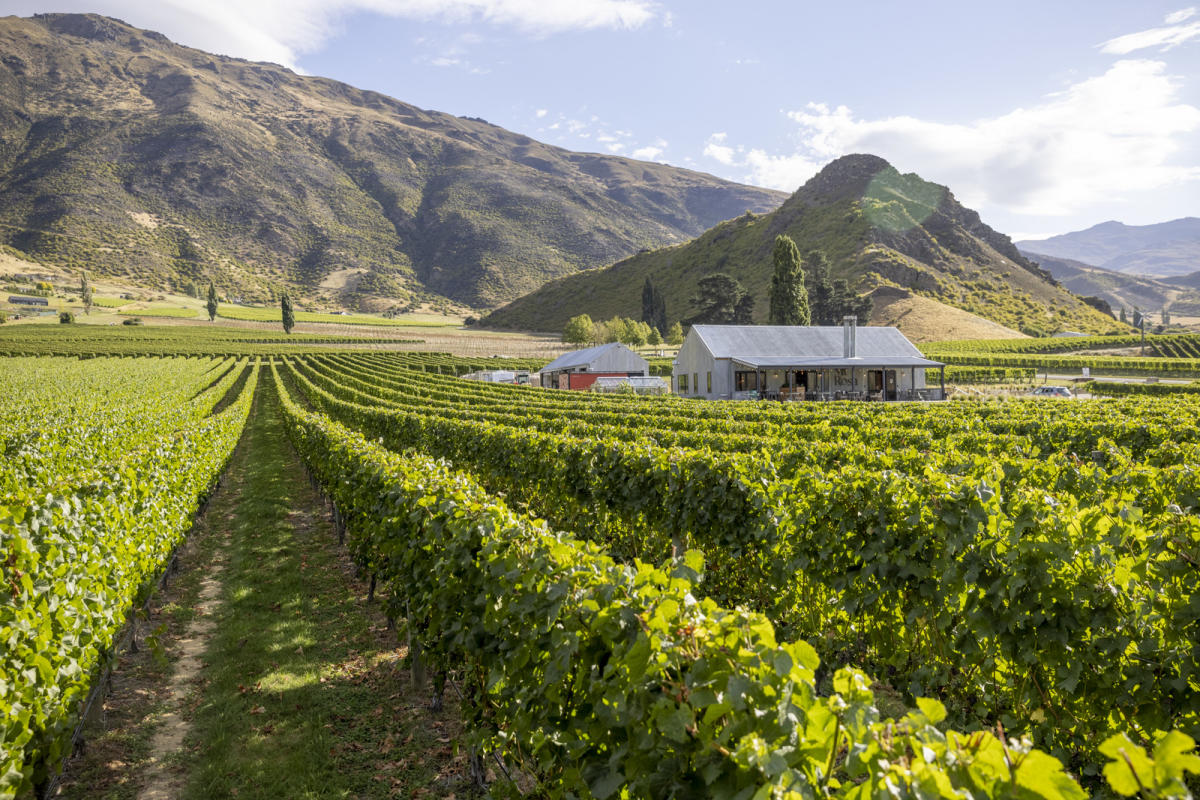 Mt Rosa Wines | Official Queenstown Website
