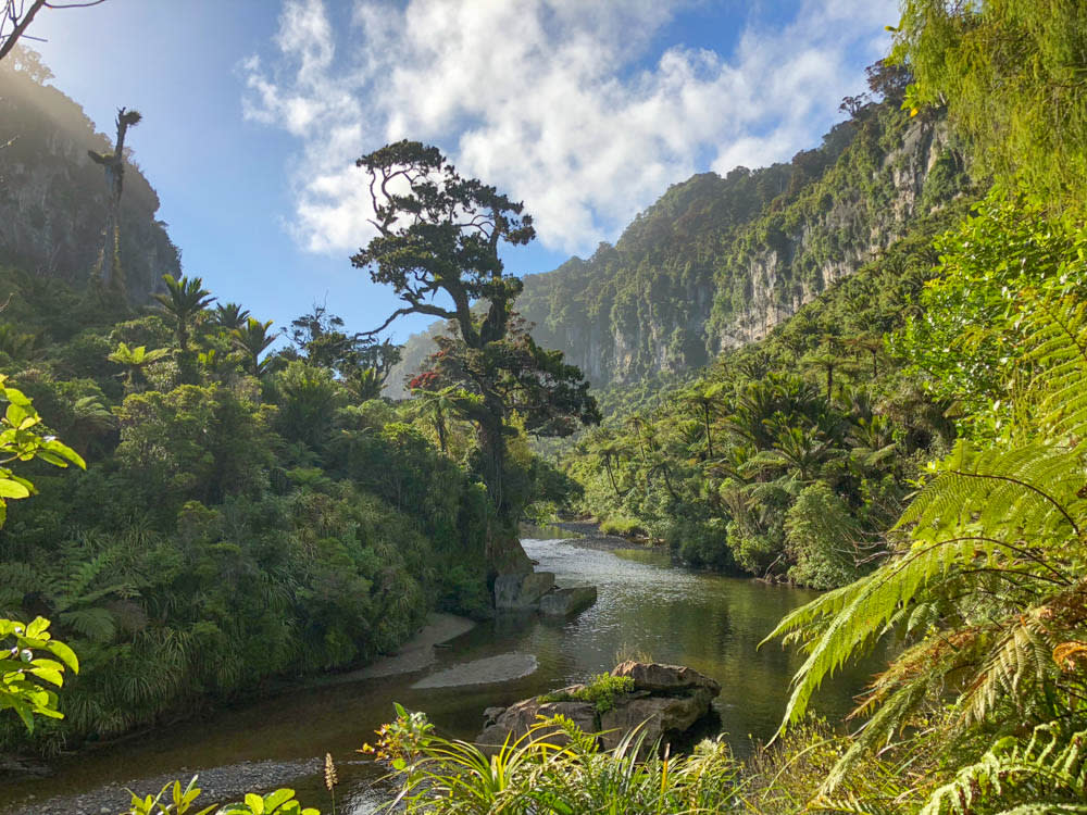 The Grand Explorer | Official Queenstown Website