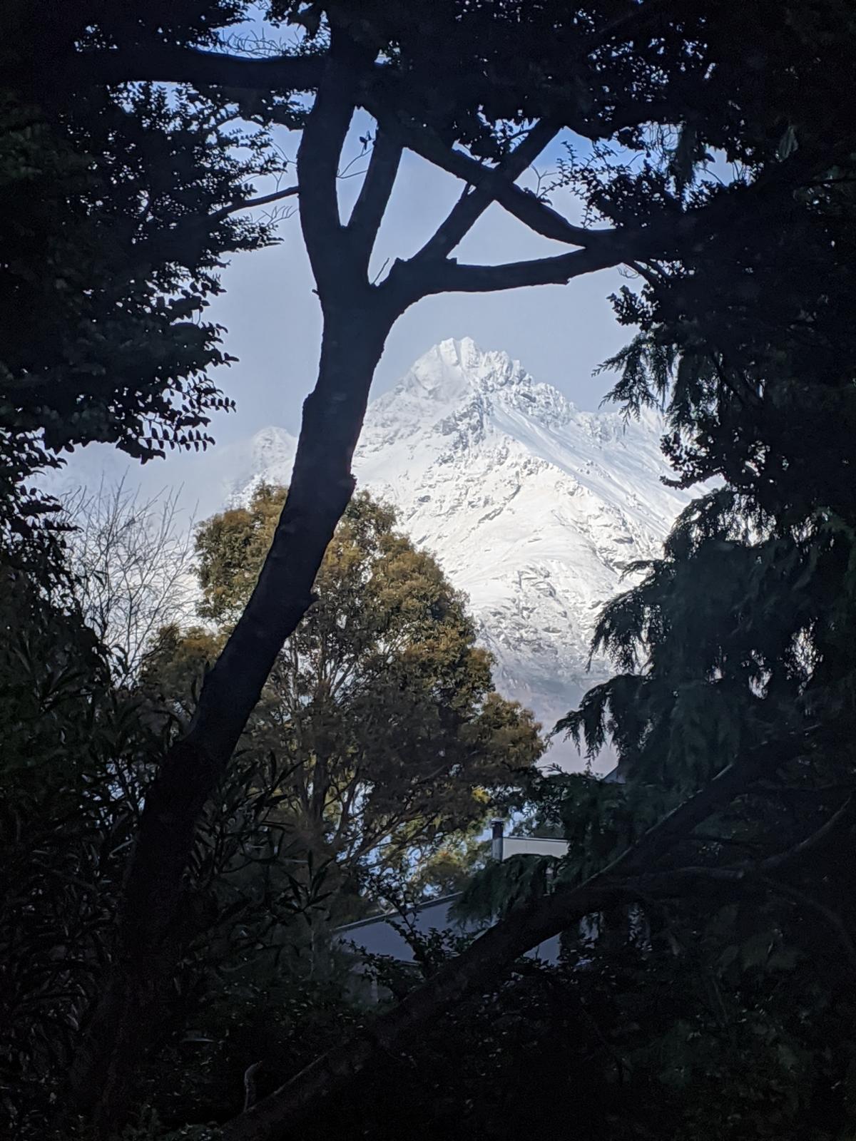 Queenstown Alpine Treehouse | Official Queenstown Website