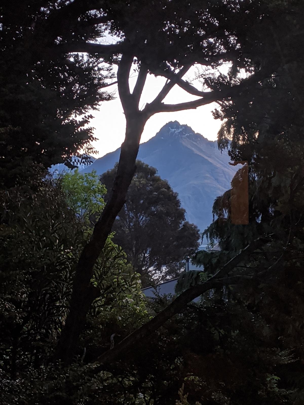 Queenstown Alpine Treehouse | Official Queenstown Website