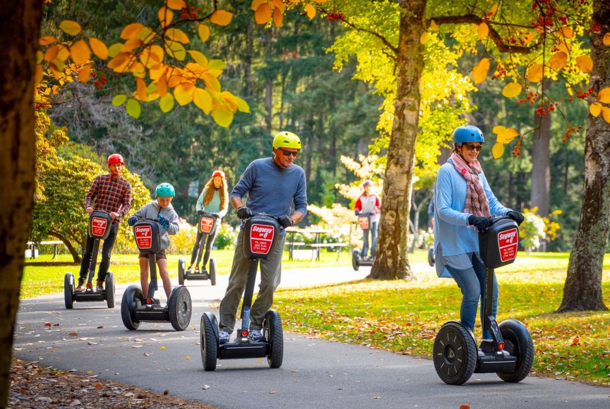Segway Bay Ride | Official Queenstown Website