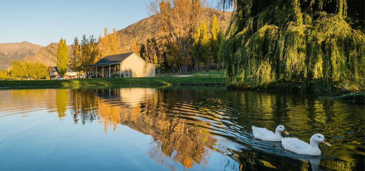 Jump on the Wine Hopper - Queenstown's Flexible Wine Tour! | Official ...