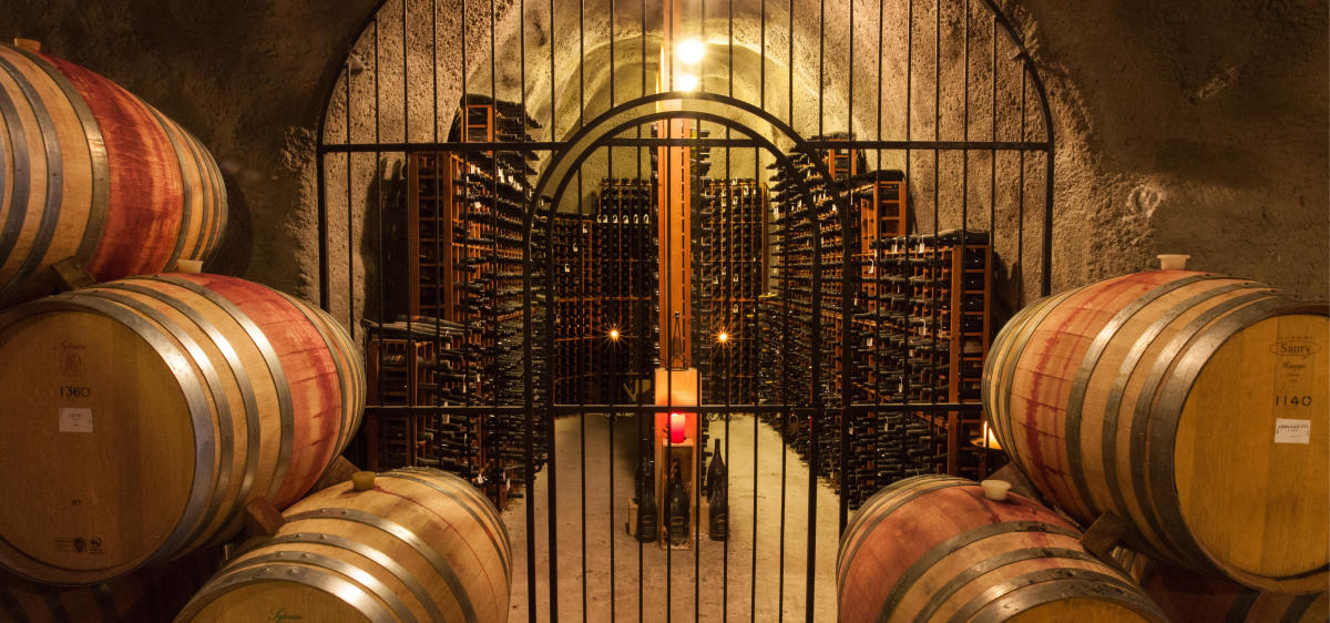 Jump on the Wine Hopper - Queenstown's Flexible Wine Tour! | Official ...